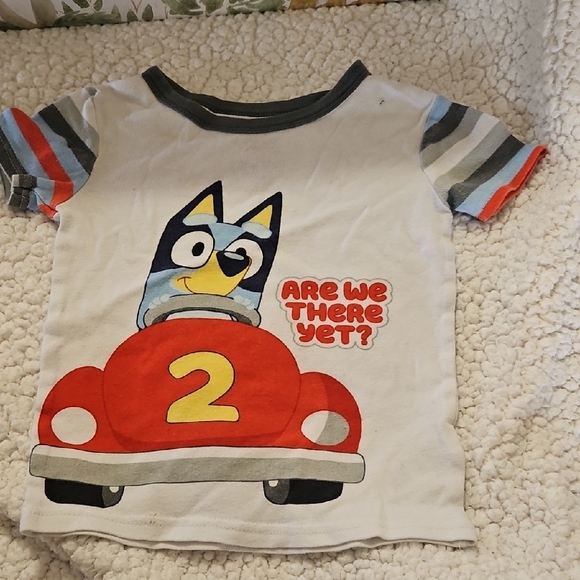 Bluey | Shirts & Tops | Disney Bluey Tshirt | Poshmark